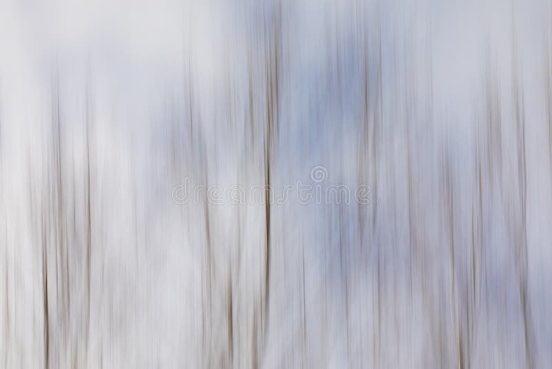 Autumn Leafless Tree Bush Blur Stock Image - Image of autumn, blur ...