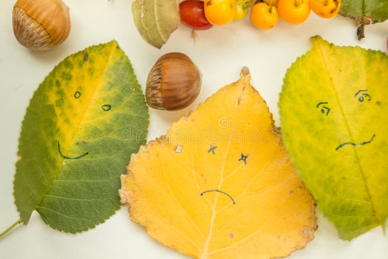 Autumn leafs with emotions stock image. Image of emotion - 99308113