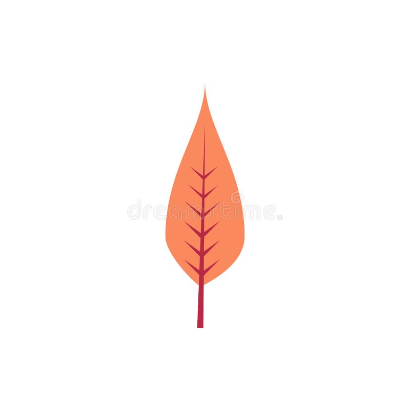 Autumn Leave, Orange Icon. Element of Color Autumn Flora Icon Stock ...