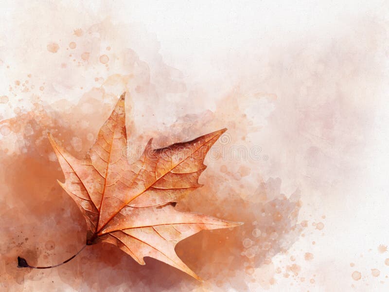 Autumn Leave - Watercolor on a White Background. Fall Illustration ...