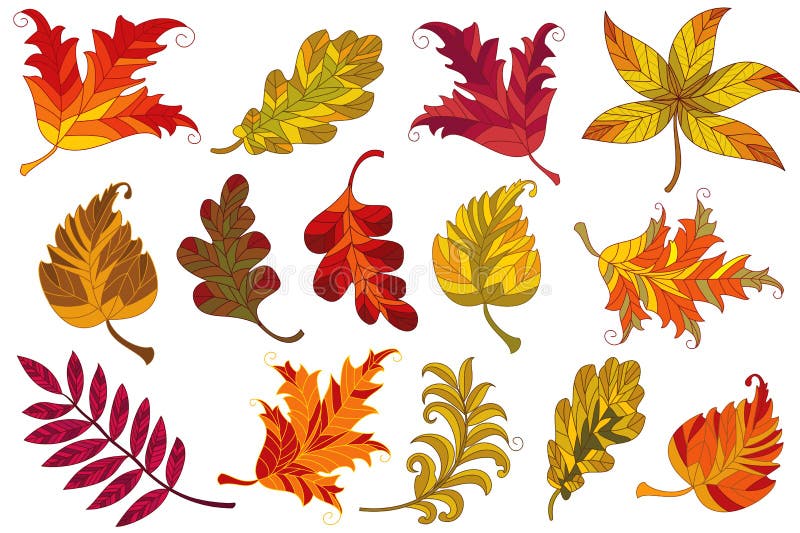 Hand drawn leaves stock vector. Illustration of icon - 11053231