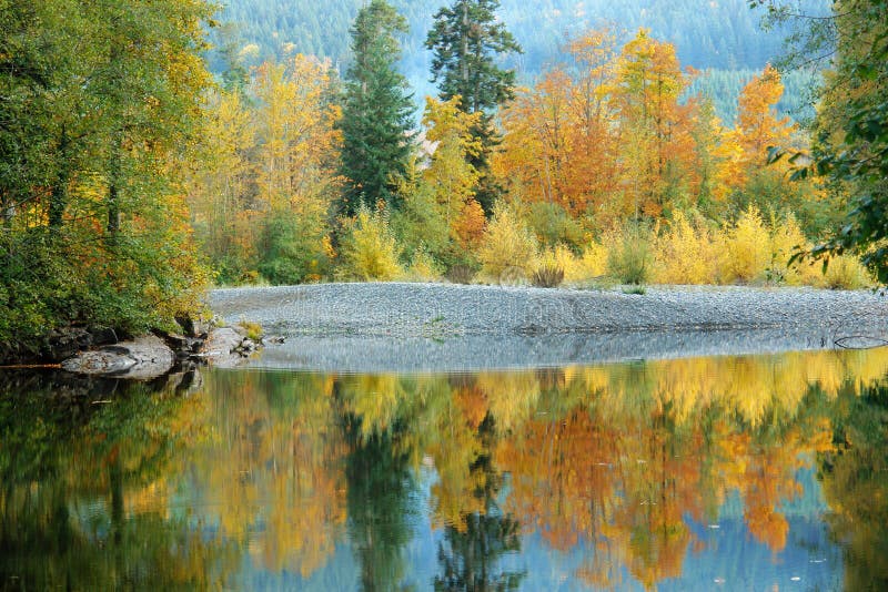 Autumn leaves stock photo. Image of relfection, fall, autumn - 4386348