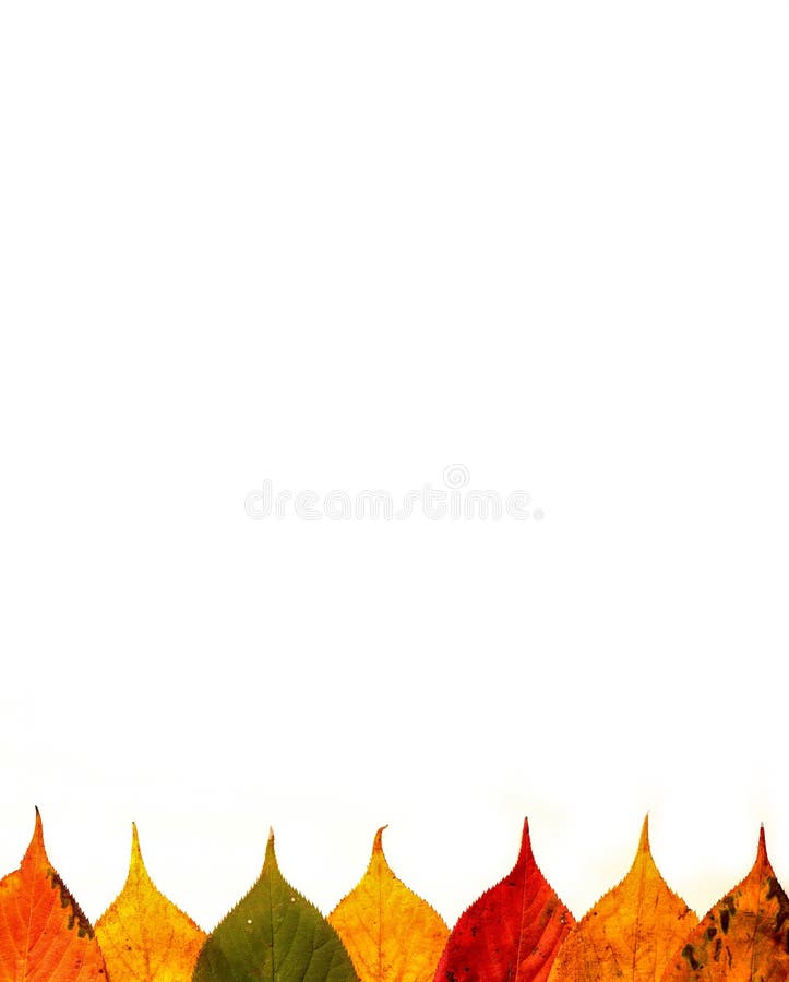 Colourful Autumn Leaf Border Stock Image - Image of flowering, corner ...