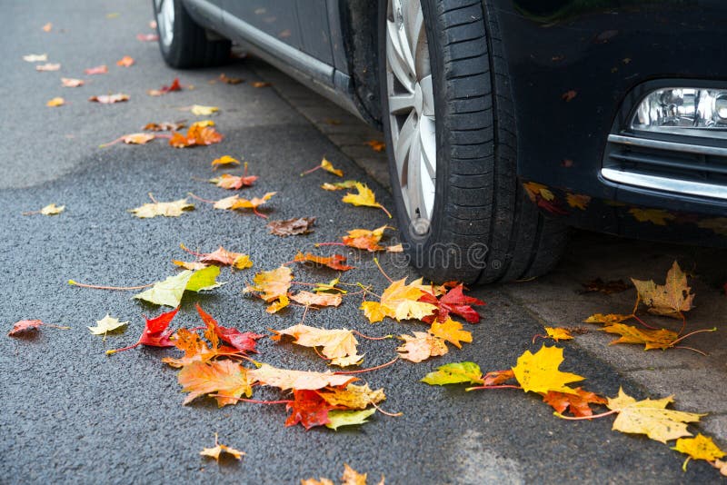 Autumn Leaves with Car Wheel Stock Image - Image of october, september ...