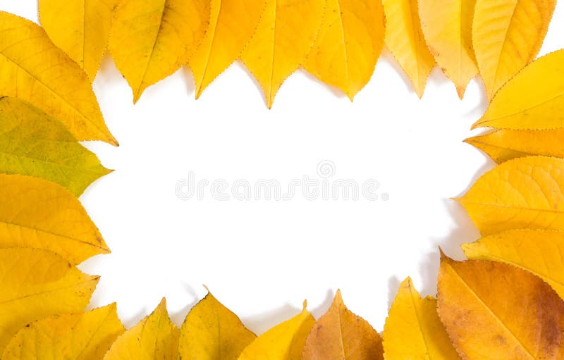 Autumn leaves autumn time stock photo. Image of outdoor - 80105344