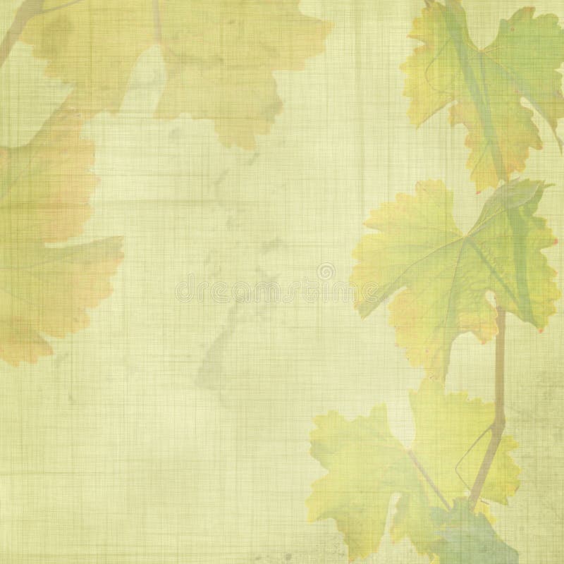 Scroll Set stock vector. Illustration of placard, coat - 13752670