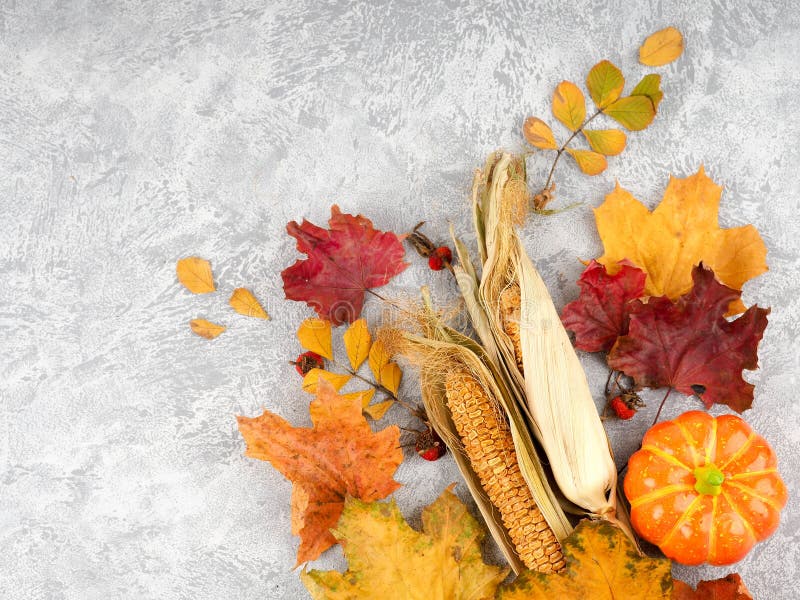 Autumn Leaves Background, Flat Lay Autumn Composition with Copy Space ...