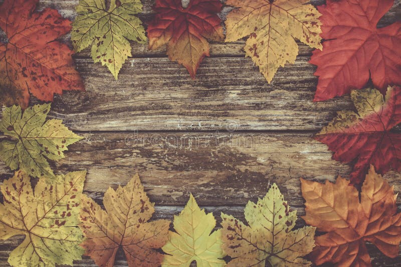 Autumn Leaves Background Frame Stock Photo - Image of backgrounds, leaf ...