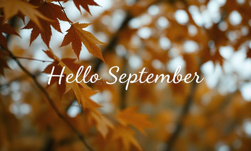 Autumn Leaves Background, Hello September on Blurred Background Stock ...