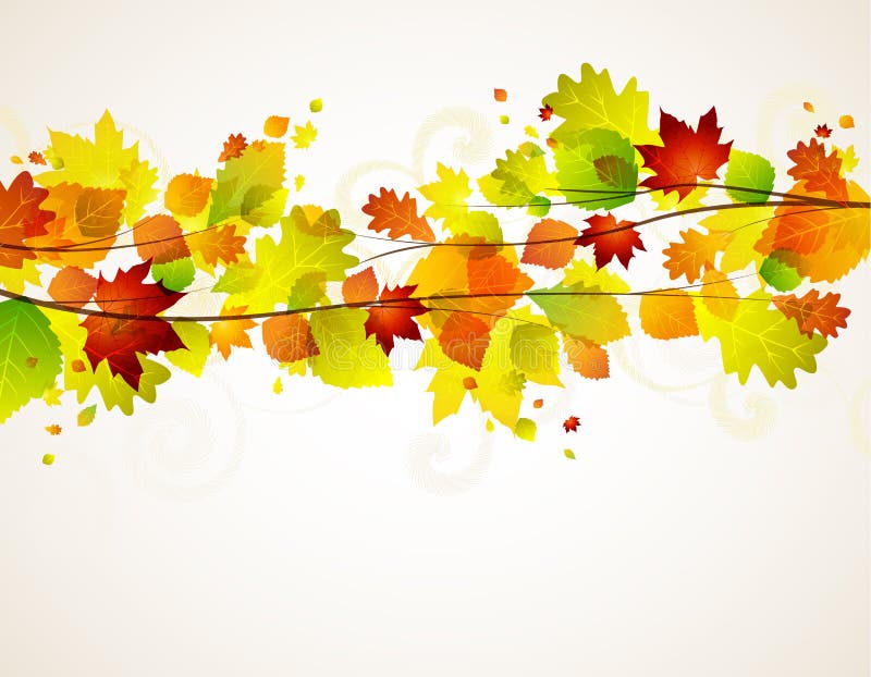 Maple Footer / Autumn Leaves Stock Illustration - Illustration of card ...