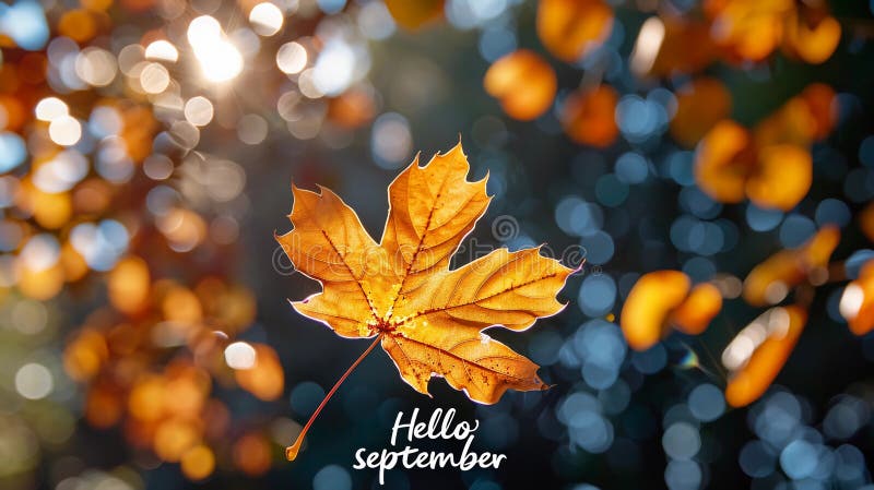 Autumn Leaves Background. Text Hello September on Blurred Background ...