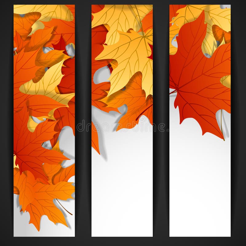 Autumn Leaves Background stock vector. Illustration of fall - 45579499