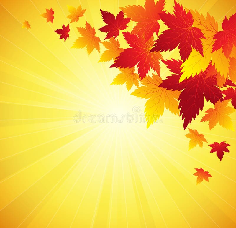Autumn Leaves Background.Vector. Stock Vector - Illustration of ...