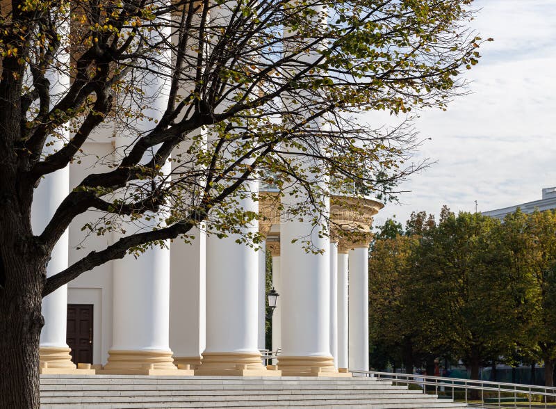 Autumn Leaves on a Background of White Columns Stock Image - Image of ...