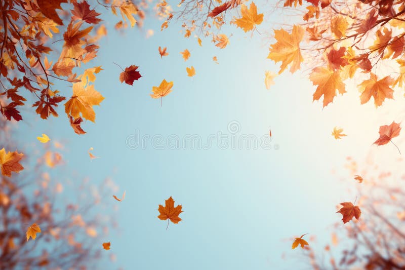 57,970 Fall Leaves Light Blue Stock Photos - Free & Royalty-Free Stock ...