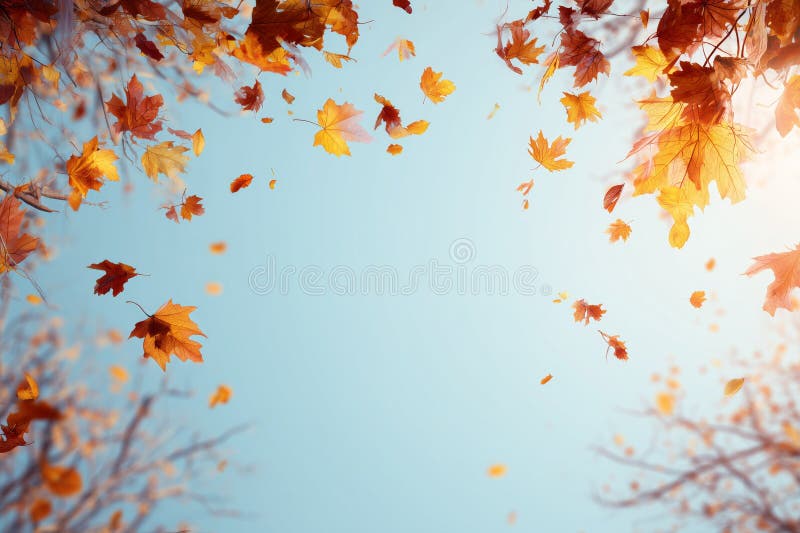 57,970 Fall Leaves Light Blue Stock Photos - Free & Royalty-Free Stock ...