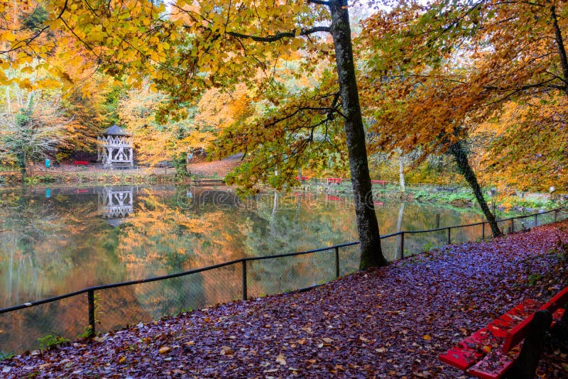 Nice Side View of the Lake with the Reflectiong Trees. Autumn Colors ...