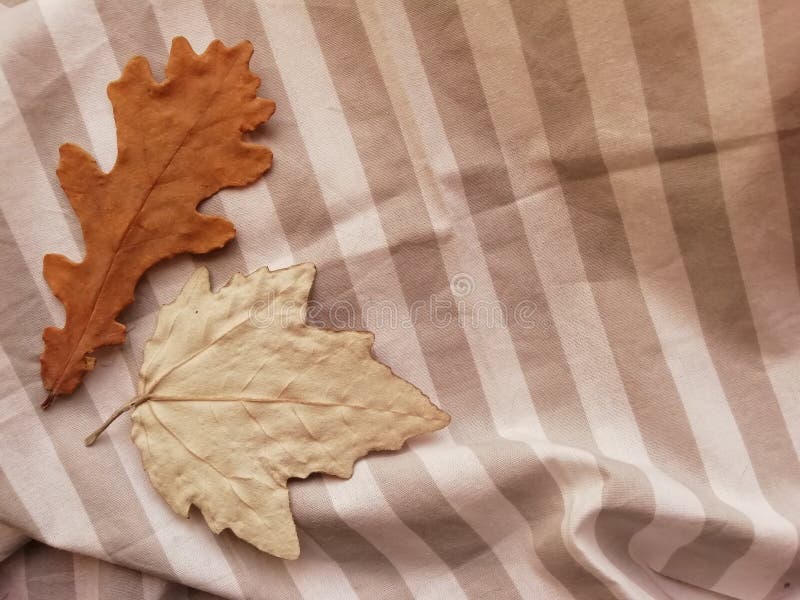 Autumn Leaves on Fabric Background Stock Photo - Image of brown, beige ...