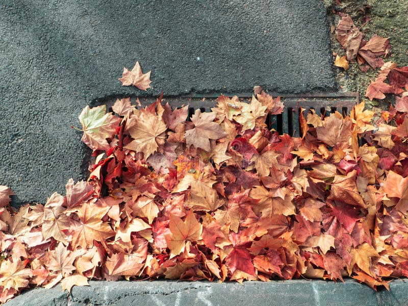 Autumn Leaves Blocking a Drain Stock Image - Image of sidewalk, street ...
