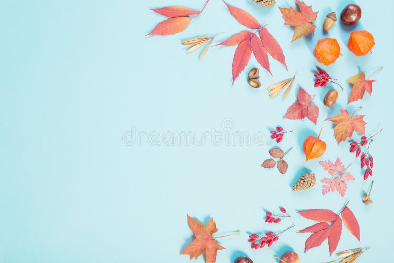 Autumn Leaves on Blue Background Stock Photo - Image of blue, fall ...
