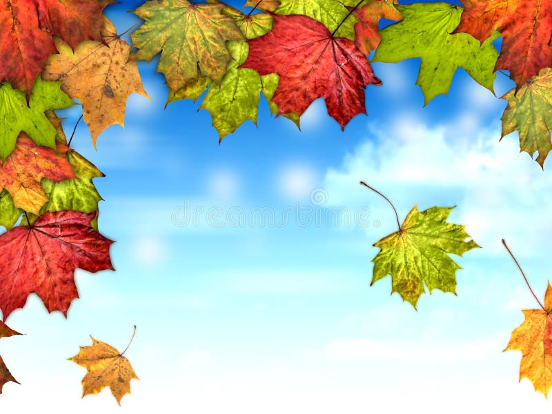 Autumn Leaves With The Blue Sky Background Stock Illustration ...