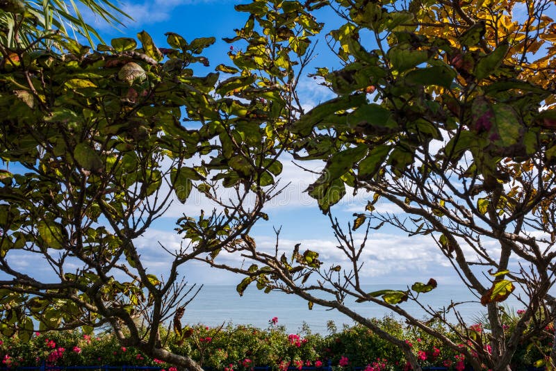 Autumn Leaves, Blue Sky, Sun and Sea in Late October Stock Image ...
