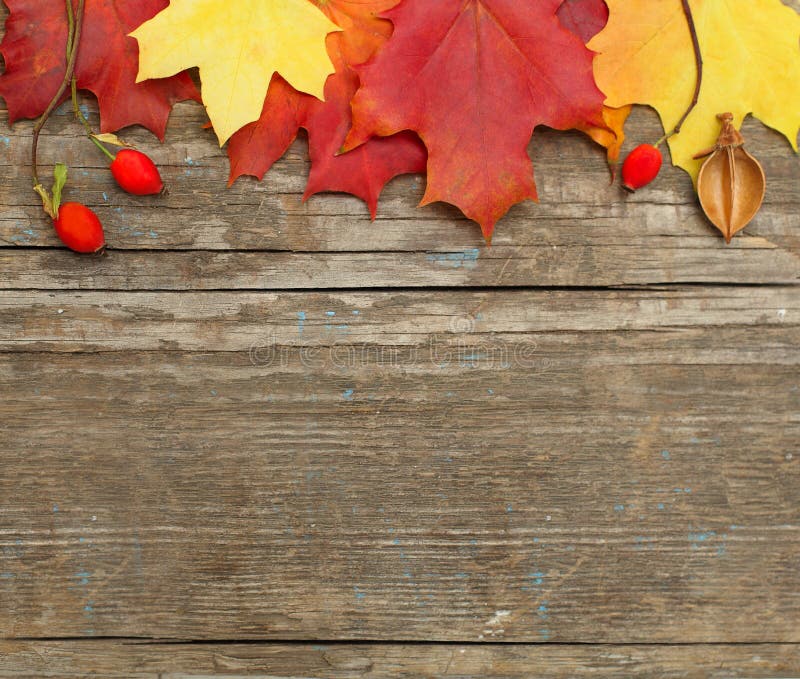 Free stuff sign stock image. Image of customer, blog - 130524897