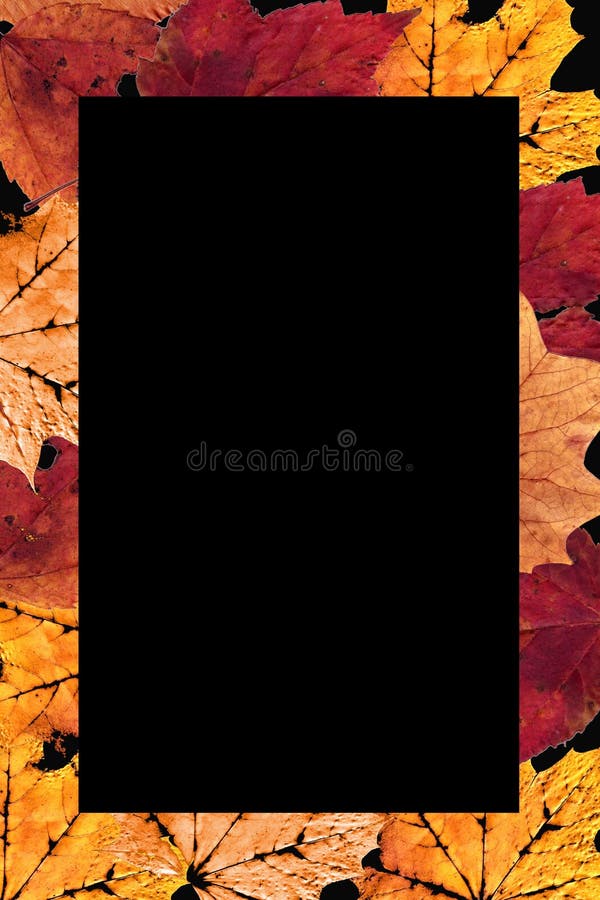 Autumn Leaves Border - Free Photo from StockFreeImages