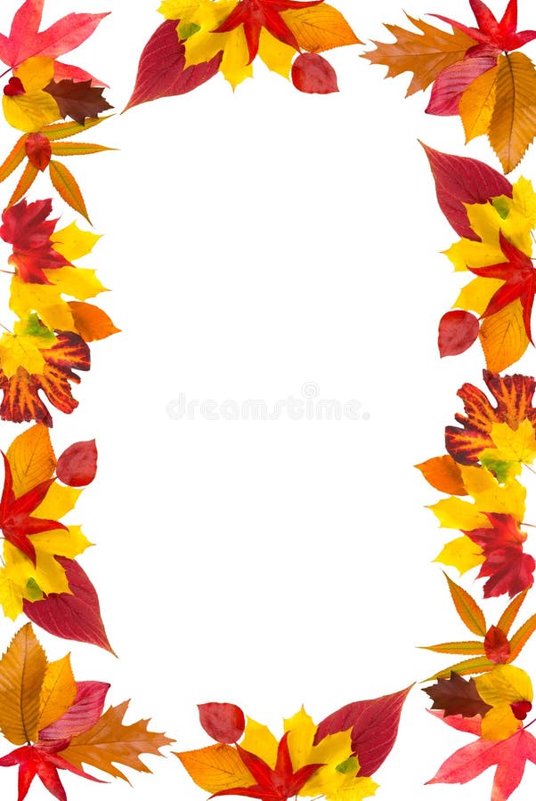 Free Fall Leaf Borders For Word