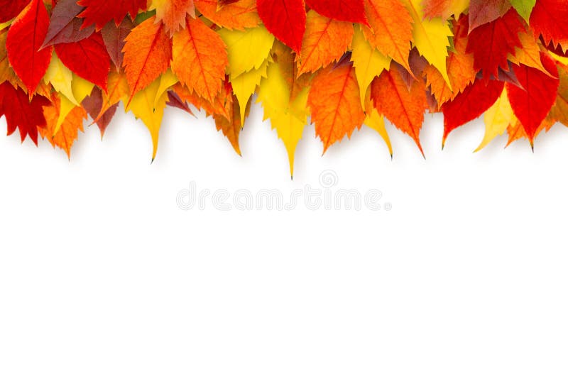 Autumn Leaves Border stock photo. Image of fall, border - 198821904