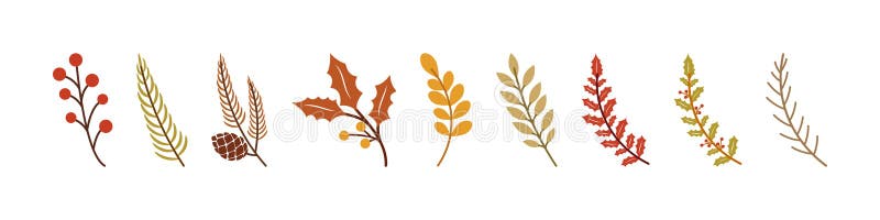 Autumn. Autumn Leaves. Autumn Leaves with Branches. Tree Branches ...