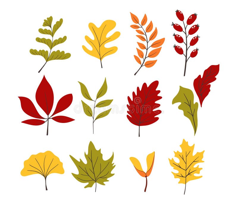 Autumn Leaves Brunches and Decorative Natural Fall Foliage. Stock ...