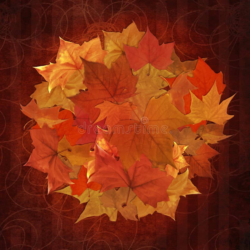 Autumn Leaves Circle Pattern Stock Image - Image of grunge, closeup ...