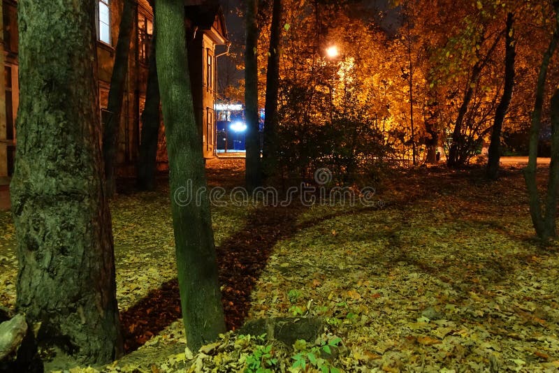 Autumn Leaves in the City. Night Scenery Stock Image - Image of ...