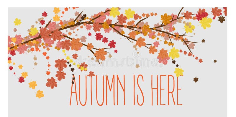 Autumn Is Here Vector Illustration Stock Photo - Image of background ...
