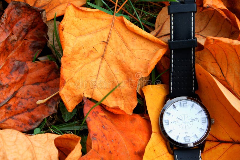 Autumn Leaves and Clock Isolated Stock Image - Image of efficiency ...