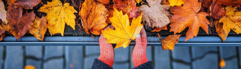 Autumn Leaves Clogging Gutter, Hands Cleaning, Fall Cleanup Gutter ...