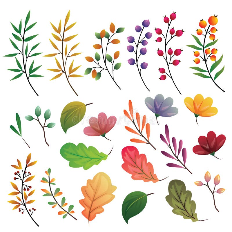 Autumn Leaves Colored Element Collection Set Stock Vector ...