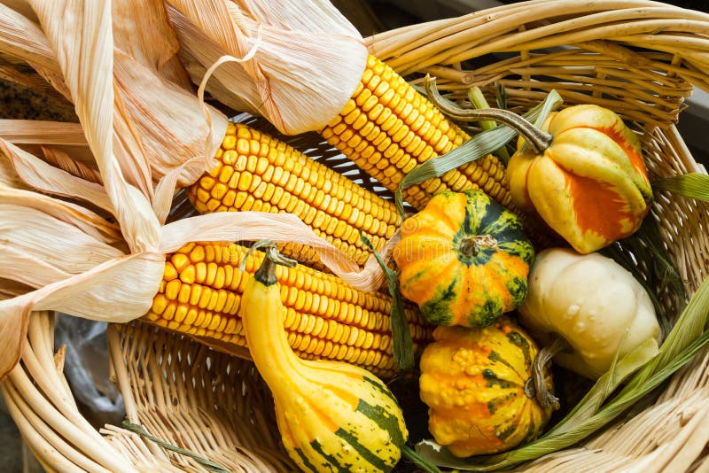 Autumn Leaves, Corn and Gourds Stock Image - Image of colorful, farm ...
