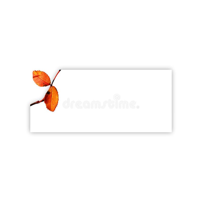 Autumn Leaves at the Corner of a Rectangular Shape Stock Image - Image ...