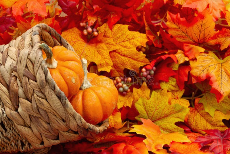Autumn Leaves with a Cornucopia and Pumpkins Background Stock Photo ...