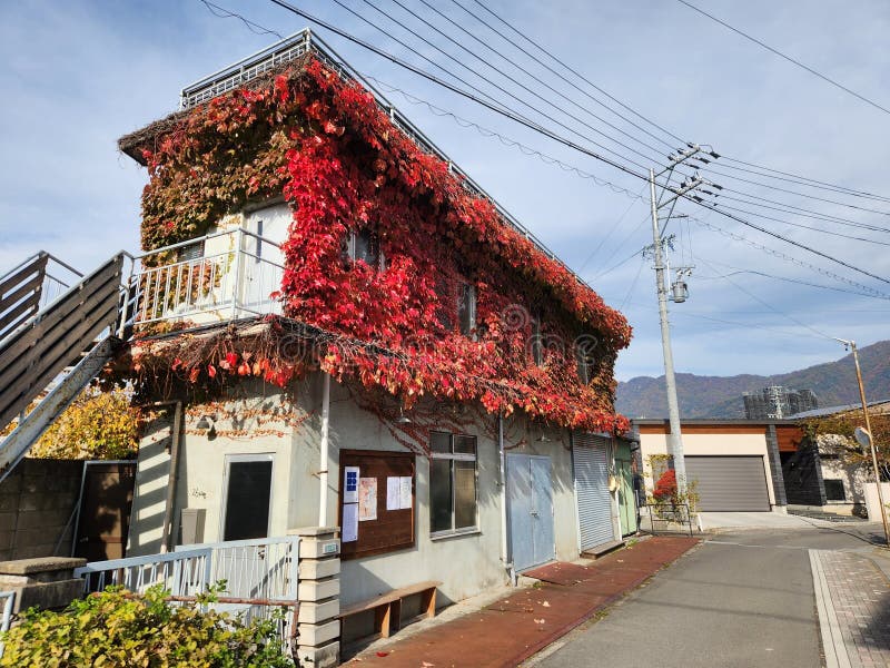 Autumn Leaves Covered Building Japan Stock Photo - Image of japan ...