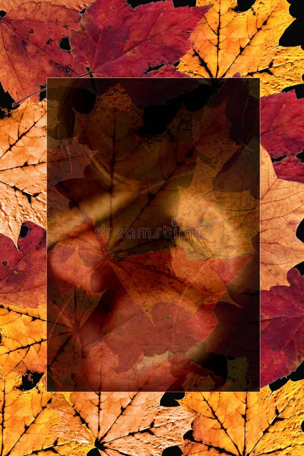 Autumn Leaves Design Picture. Image: 3988986