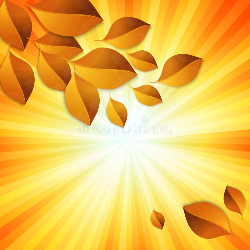 Autumn Leaves Design Elements Stock Vector - Illustration of frame ...