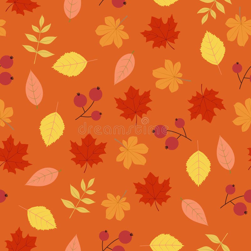 Autumn Leaves from Different Trees and Red Berries on a Terracotta ...