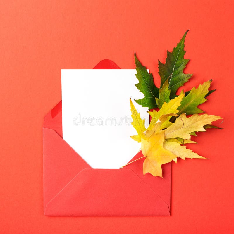 Autumn leaves in envelope. stock photo. Image of creativity - 129066642