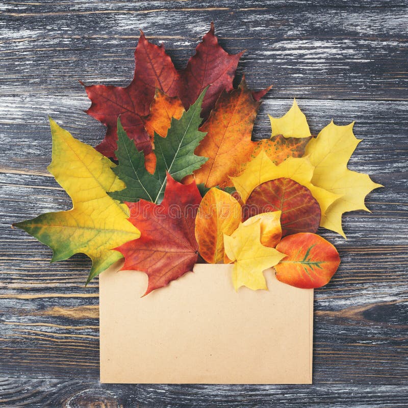 150 Fall Papercraft Background Stock Photos - Free & Royalty-Free Stock ...