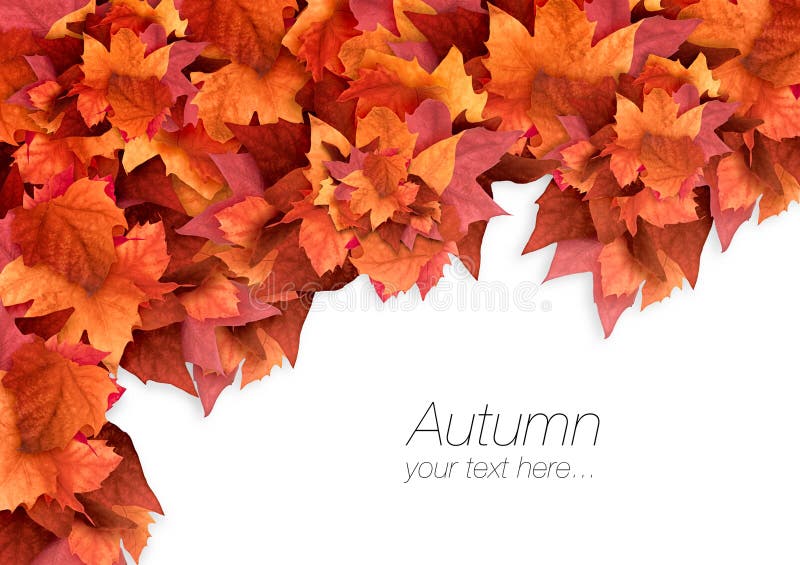 Autumn Leaves. Fall Background. Color Explosion Stock Illustration ...
