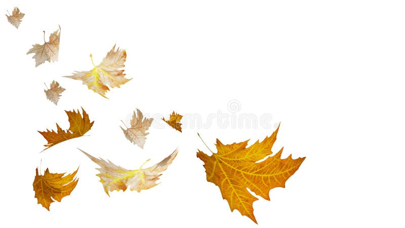 Bcackgroun Stock Illustrations – 2 Bcackgroun Stock Illustrations ...