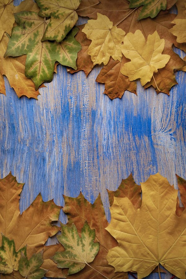 Autumn Leaves Fall Rustic Wood Blue Background Stock Image - Image of ...
